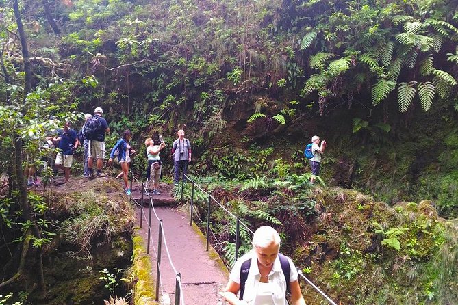 Levada do Caldeirão Verde Levada Walk from Funchal - Why This Tour Is Worth Considering