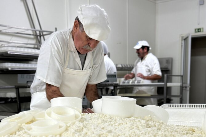 Lisbon Cheese Factory Visit, Wine Tasting and Tile Painting Tour - FAQ