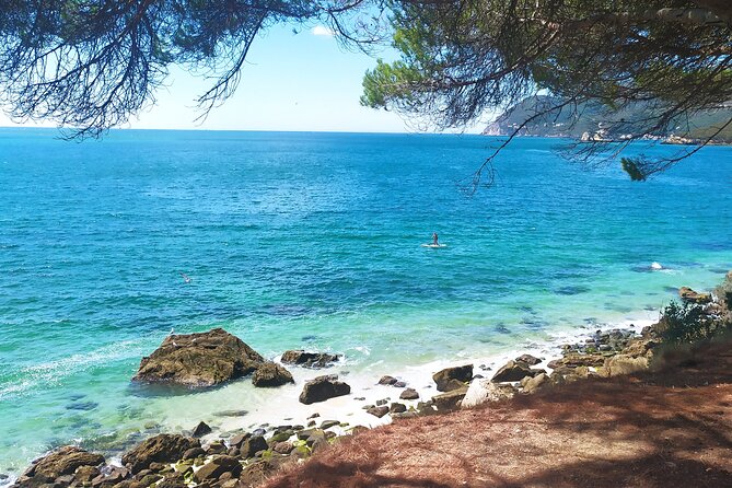 Lisbon: Serra da Arrabida, Setubal, Sesimbra private tour - Who This Tour Is Best For