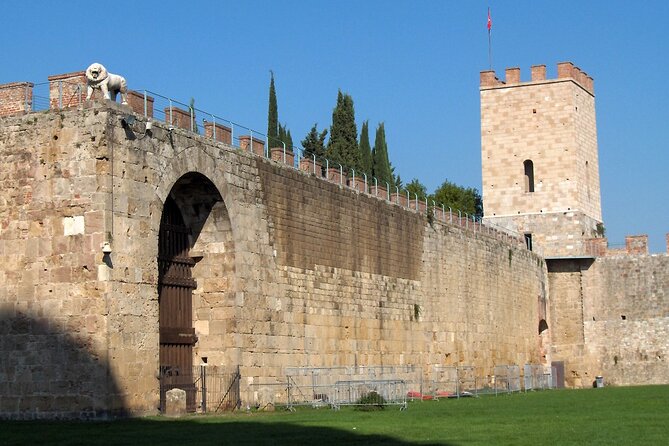 Livorno Shore Excursion: Pisa, Lucca and wine experience Private Day Trip - Who Is This Tour Best For?