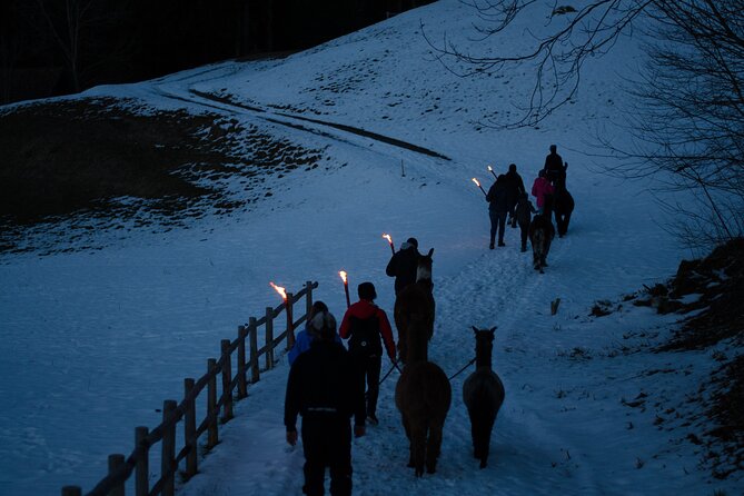 Llama hike with homemade, traditional cheese fondue - Practical Details