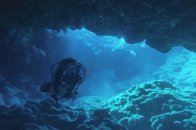 Local Guided Dives (for certified/licensed divers) - Frequently Asked Questions
