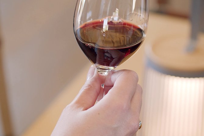 Luxurious full day Bordeaux wine tour in a Tesla - The Sum Up