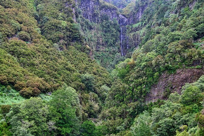 Madeira Levada Walk - Rabacal Lakes and Fountains - Who Will Love This Tour?