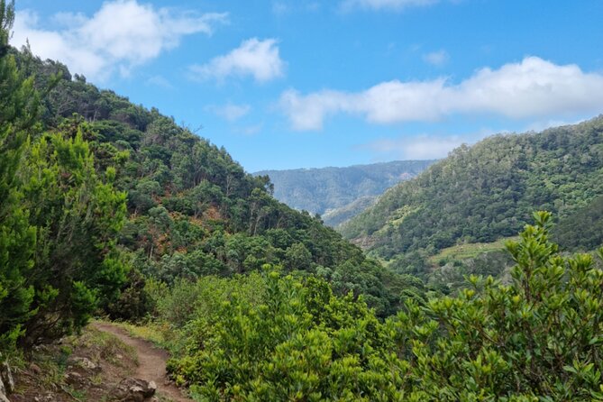 Madeira Porto da Cruz to Machico Self Hiking Tour with Transfer - Who Should Consider This Tour?