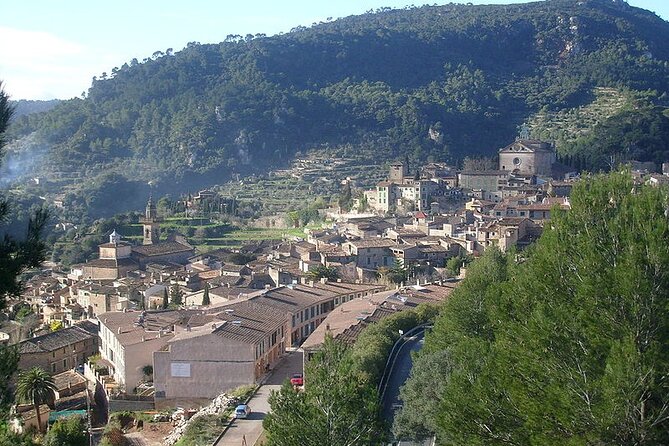 Mallorca Shore Excursion Highlights Private Tour including Valldemossa - Who Will Love This Tour?