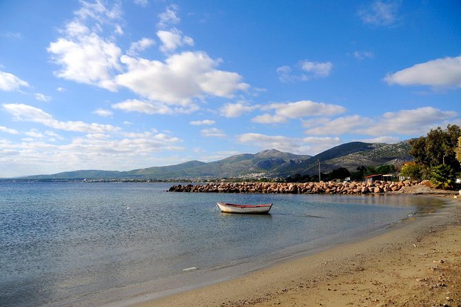 Marathon, Thermopylae/ Herodotus History private tour (9 hours) - What Could Be Improved?