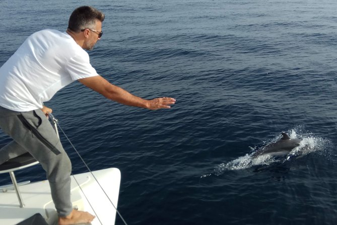 Marbella 3-hour Catamaran Group Excursion with Dolphin Watching - Who Should Consider This Tour?