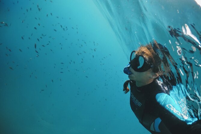Marine Biology & Snorkelling Experience in the Cinque Terre - Authenticity and Unique Aspects