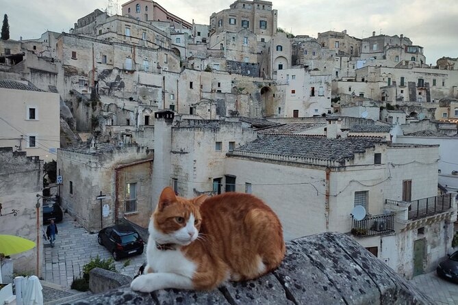 Matera Underground Cultural Sassi Tour - Final Thoughts