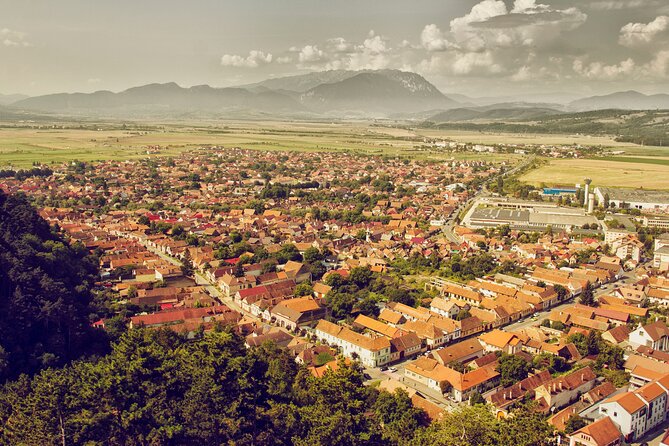 Medieval Transylvania Full-Day Private Tour from Brasov - Who Should Consider This Tour?