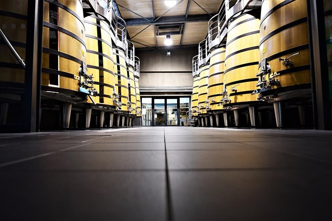 Medoc Afternoon Wine Tour - 2 Wineries, tastings & delicacies - Who Will Love This Tour?