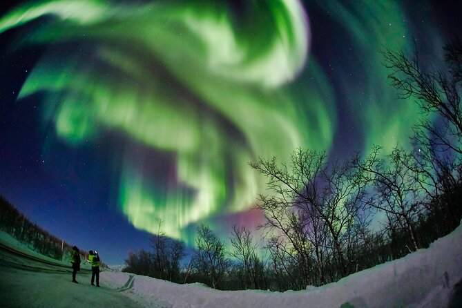 Minivan Northern Lights excursion (8 guests per minivan) - Comfort and Equipment: Enhancing the Experience