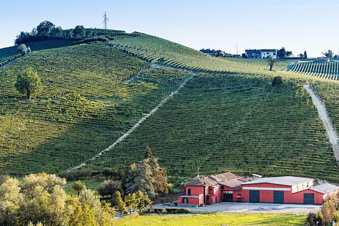 Monferrato (Asti): Wine Tour with light lunch picnic in the vineyards - Summing Up: Is It Worth It?