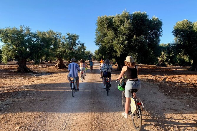 Monopoli's Countryside by Bike - The Sum Up: Is This Tour Right for You?