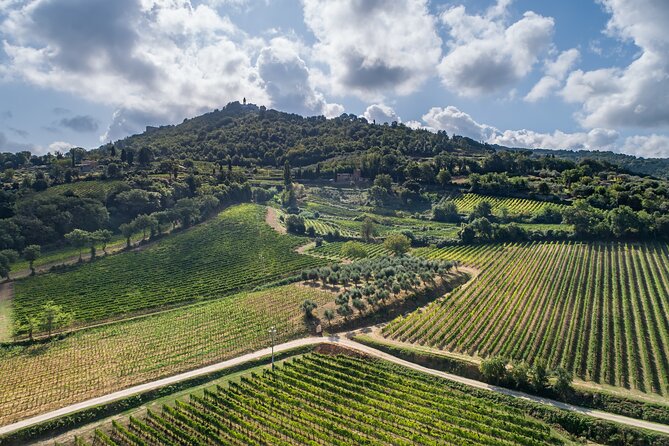 Montalcino: Cellar Tour, Brunello Tasting and Appetisers - A Few Drawbacks to Consider