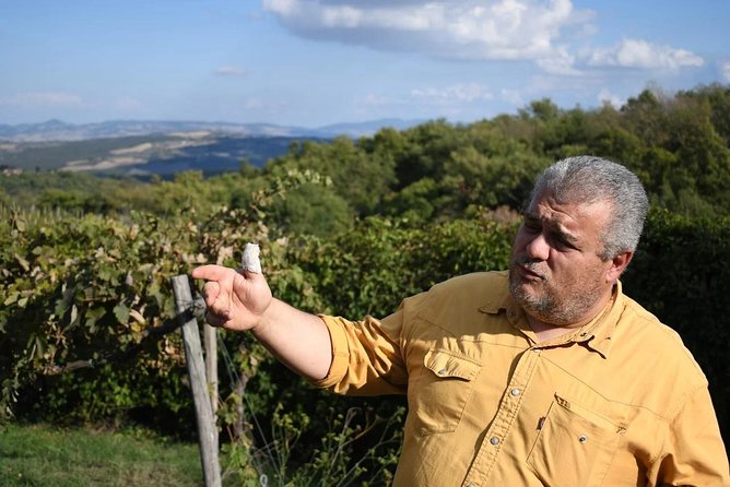 Montalcino wine tour - Final Thoughts