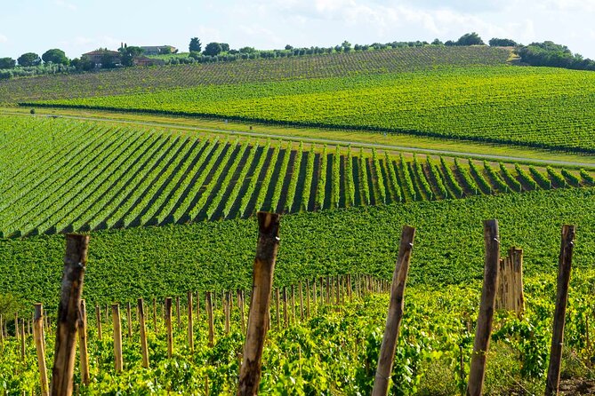 Montecarlo and Wine Tasting from Lucca Private Tour - The Value of the Experience