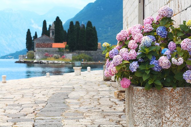 Montenegro Bay Cruise with Lunch on the Boat day trip - Who Should Consider This Tour?