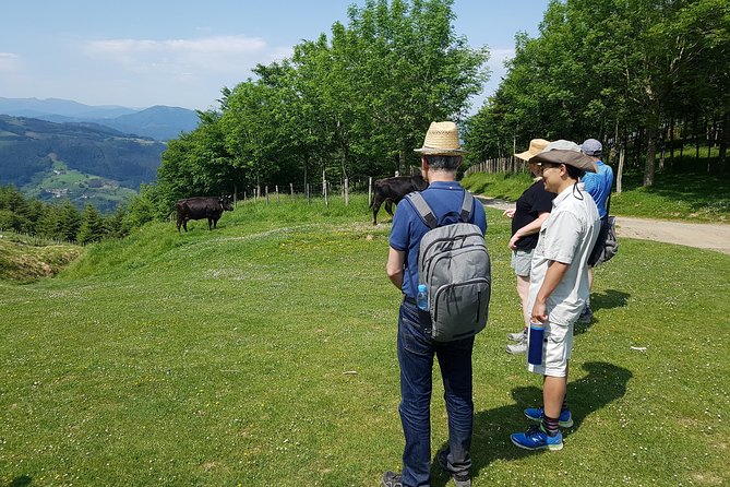 Mount Hernio Hiking Tour from San Sebastian - The Sum Up: A Scenic, Guided Basque Countryside Experience