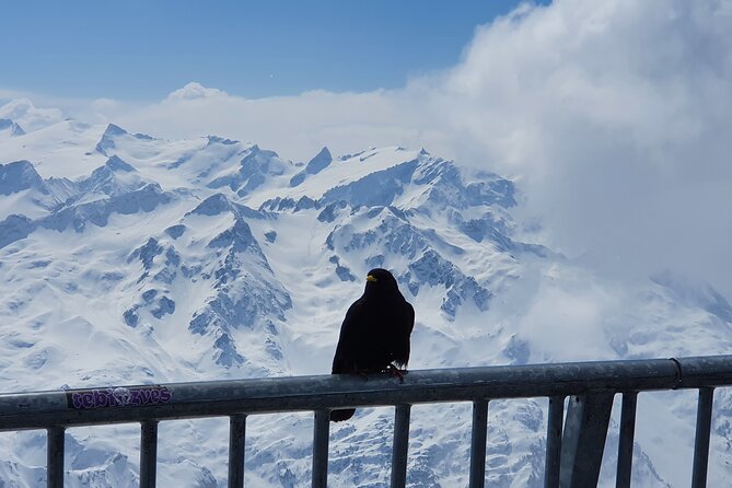 Mount Titlis Train Ticket and Self-Guided Tour from Luzern - Who Should Book This Tour?