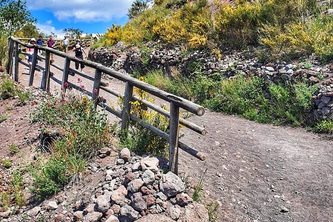 Mount Vesuvius Tour with Entry Ticket & Lunch from Sorrento - Who Is This Tour Best For?