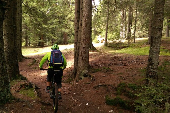 Mountain Bike Day Tour around Brasov - Who This Tour Is Perfect For