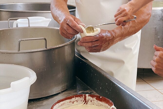 Mozzarella Experience - Cheese Tour and tastings to Masseria Fragnite - Practical Details: How Long and What to Expect