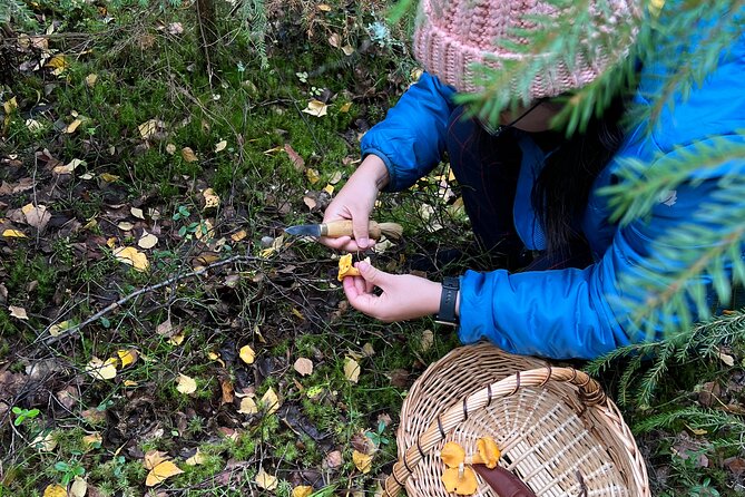 Mushroom Hunting in a National Park - FAQs