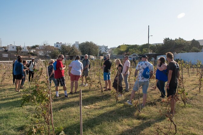Mykonian Farm Entrance Ticket - Analyzing the Value: Price, Duration, and Experience