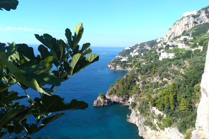 Naples port tour Sorrento and pompeii and overview of positano - FAQ