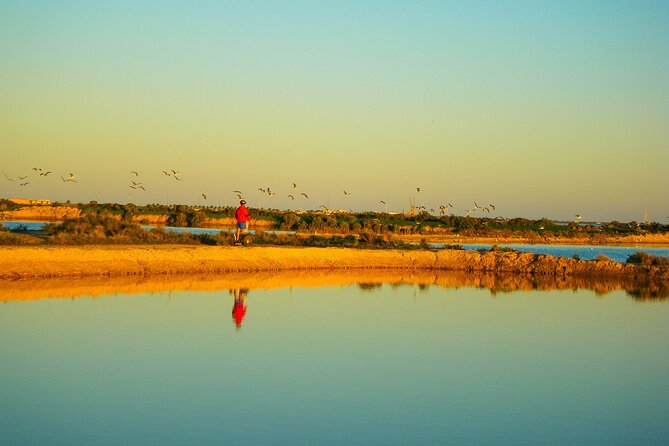 Natural Park Segway Tour with Seafood Lunch in Faro Island - The Experience in Practice: What Travelers Say