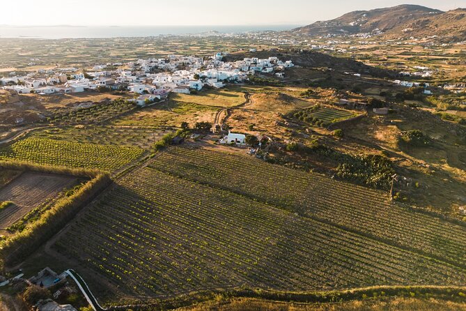 Naxos Private / Semi Private E-Bike Guided Tour Inland Methexis - The Sum Up: Is This Tour Right for You?