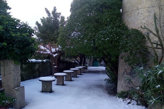 Nebrodi Medieval Day  Castle and Convent Tour (Private Experience) - FAQ