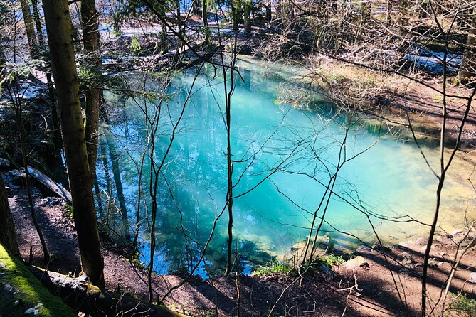 Nera Gorge National Park - Private Day Tour from Timisoara - FAQ: Your Questions About the Nera Gorge Tour