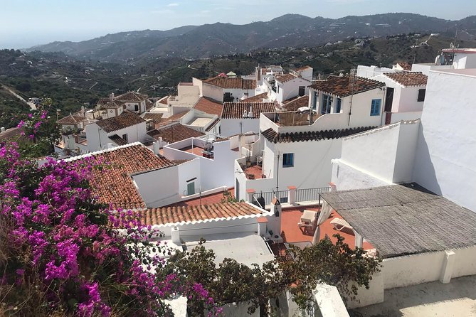 Nerja & Frigiliana Private Day Trip from Malaga or Marbella - The Sum Up
