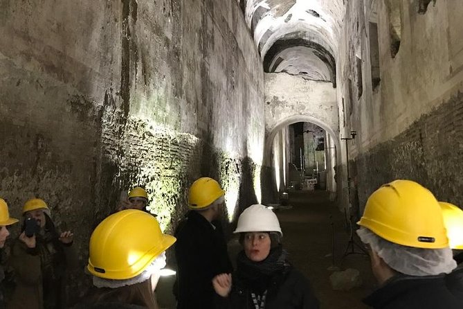 Nero's Golden House restoration site tour - Accessibility, Group Size, and Booking
