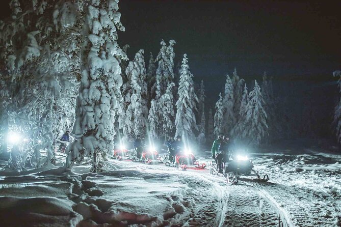 Night Snowmobile Safari, Rovaniemi - Final Thoughts: Is This Tour Worth Your Time?
