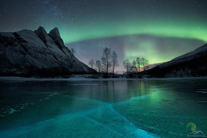 Northern Lights by Minibus. Photos Under the Lights included. Tromso - The Bottom Line