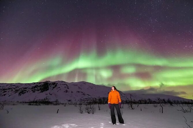 Northern Lights Chase by Minibus - The Experience and Its Authenticity