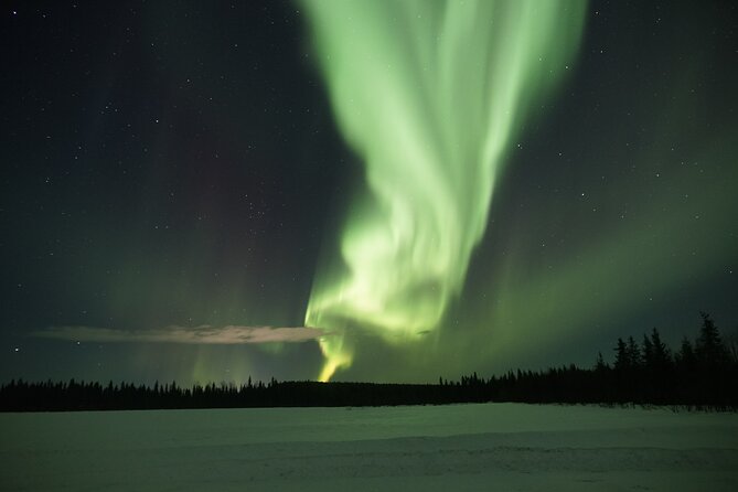 Northern Lights Hunting Photo Tour in Levi - Who Should Consider This Tour?