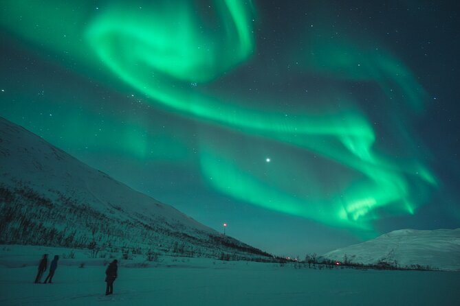 Northern Lights Tour in Tromso - Is This Tour Good Value?