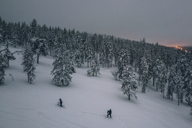 Northern Lights Tour With Skis Or Snowshoes in Pyhä - Arrival and Briefing