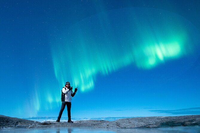 Northern Lights Tours Bodo Norway - Who Should Consider This Tour?