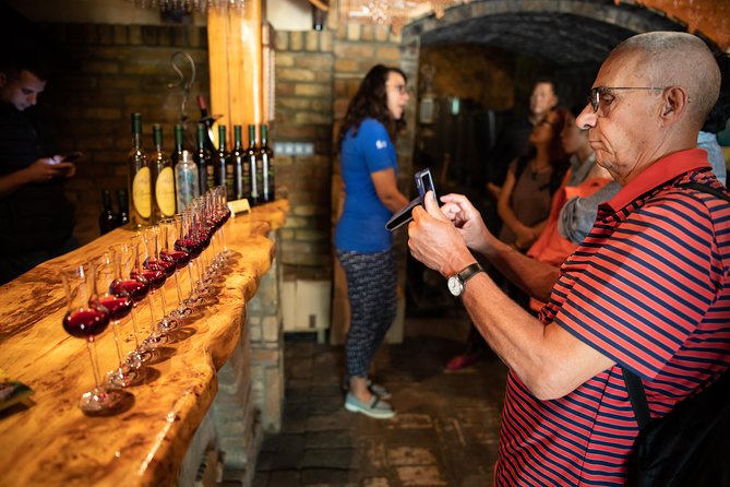 Northern Serbia: Sremski Karlovci and Novi Sad Full-Day Tour from Belgrade - Final Thoughts
