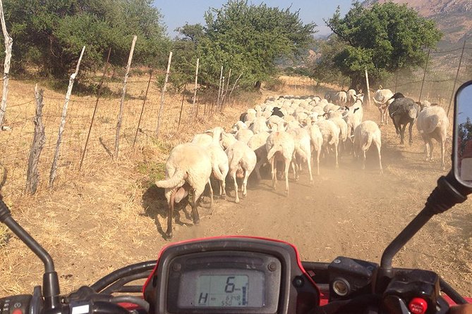 Offroad Cefalù Quad Tour - The Sum Up: Is This Tour Worth It?