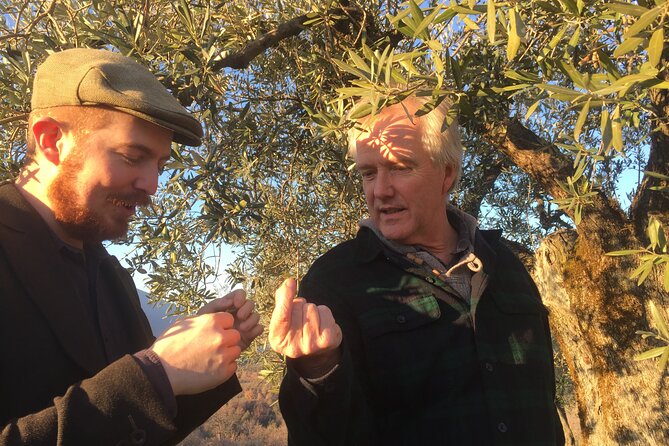 Olive Oil Private Full-Day Tour with Tasting in Valencia - Final Thoughts
