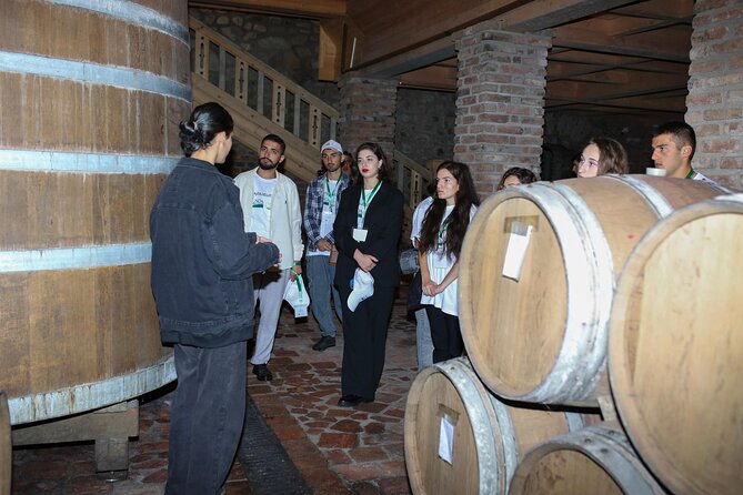 One Day Kakheti Tour with Wine Tasting and Free Churchkhela - Flexibility and Cancellation Policy