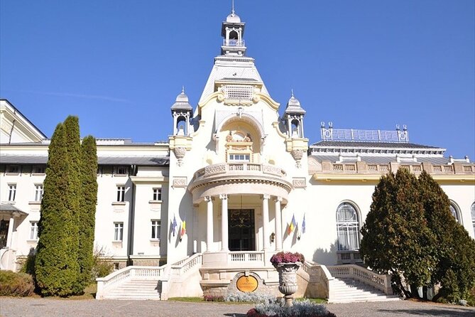 One Day Private Tour to Peles and Dracula Castles & Brasov City - Transportation & Logistics