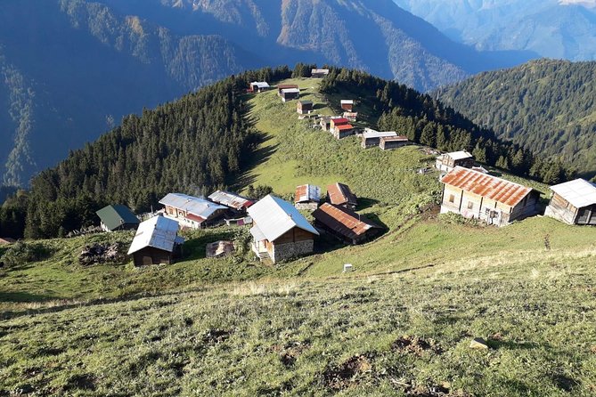 Organic Pokut Tour - Authentic Experiences and Unique Touches